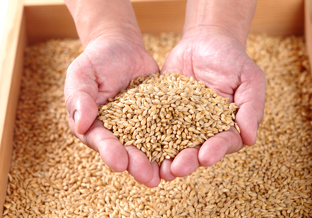 Sanwa Shurui | Oita Prefecture | Sakagura Search